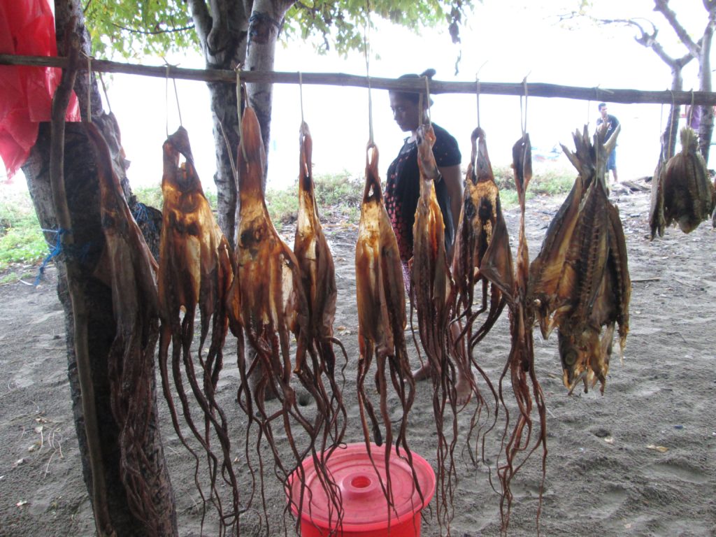 Community Conservation Research Network | Vila Maumeta, Timor-Leste ...